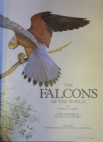 Falcons Of The World 1982 First Edition. [18835] | Hereward Books