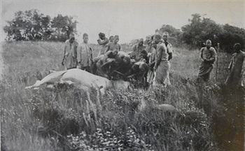 Tanganyika Territory (formerly German east Africa) 1921 | [20344 ...
